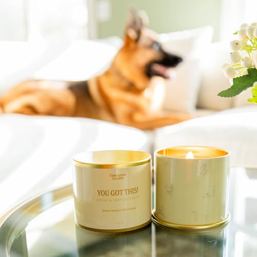 Companion Candles Pet Safe Wood Wick Candle - “You Got This!” Citrus & Tropical Fruits, Coconut Soy Wax Scented, Over 50 Hr Burn Time, Non-Toxic, Women-Owned, Made in USA (11.8 oz.)