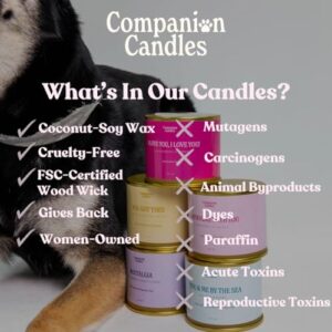 Companion Candles Pet Safe Wood Wick Candle - “You Got This!” Citrus & Tropical Fruits, Coconut Soy Wax Scented, Over 50 Hr Burn Time, Non-Toxic, Women-Owned, Made in USA (11.8 oz.)