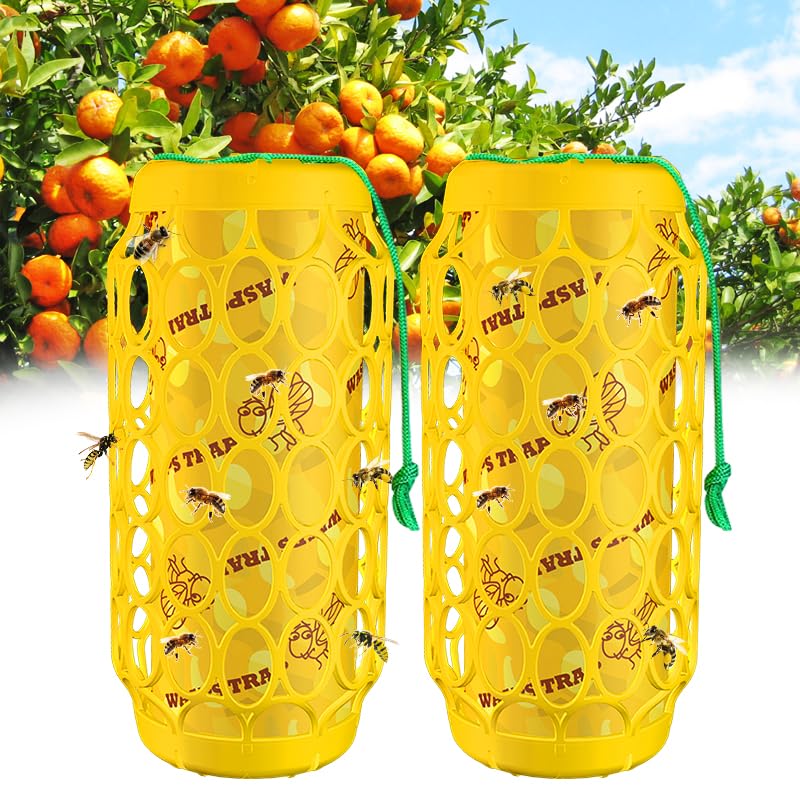 Wasp Trap Carpenter Bee Trap 2 PCS & Replaceable Sticky Boards 4 PCS & Hanging Strings 2 PCS | Repellent Wasp Trap Hanging for Yellow Jacket Wasp Killer Catcher | Reusable & Durable Bee Catcher