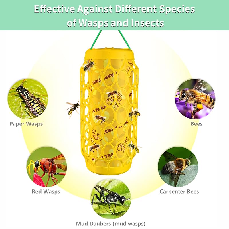 Wasp Trap Carpenter Bee Trap 2 PCS & Replaceable Sticky Boards 4 PCS & Hanging Strings 2 PCS | Repellent Wasp Trap Hanging for Yellow Jacket Wasp Killer Catcher | Reusable & Durable Bee Catcher