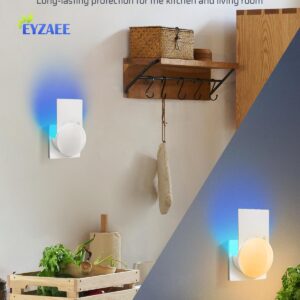 Eyzaee Fruit Fly Traps for Indoors, 2 in 1 Flying Insect Trap Blue Light Plug in Bug Catcher with Warm Night Light Effective Insect Control for Home-Odorless and Mess Free(1 Device + 5 Glue Boards)