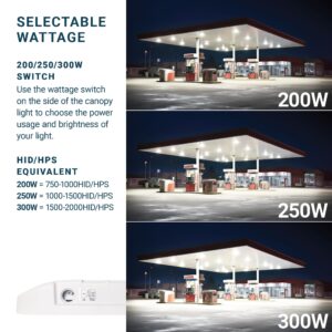 Parmida (4 Pack) LED Canopy Light, Wattage Selectable (200/250/300W), ETL, Dimmable, 100-277VAC, IP65 Waterproof, 5700K, 16.5” x 16.5”, Gas Station, Garage, Street, Outdoor Lighting, Commercial Grade