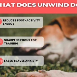 Unwind by Helluva Dog - Natural Anxiety Calming Drops for Active Performance Dogs — MCT Oil, Chamomile & Valerian Drops for Focused Training, Relaxation Before and After Activity, 2oz Bottle