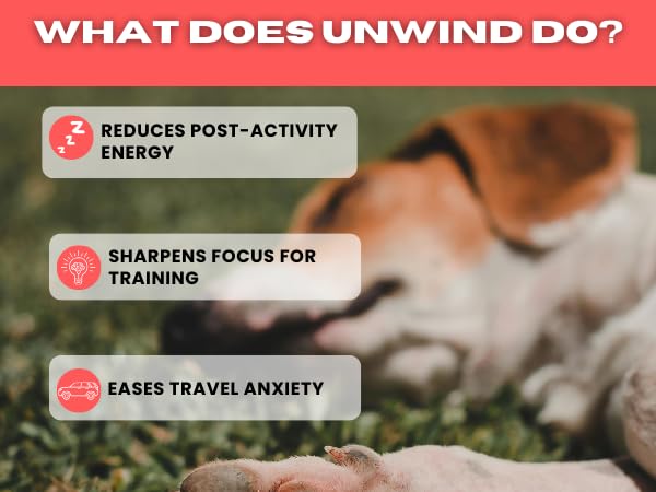 Unwind by Helluva Dog - Natural Anxiety Calming Drops for Active Performance Dogs — MCT Oil, Chamomile & Valerian Drops for Focused Training, Relaxation Before and After Activity, 2oz Bottle