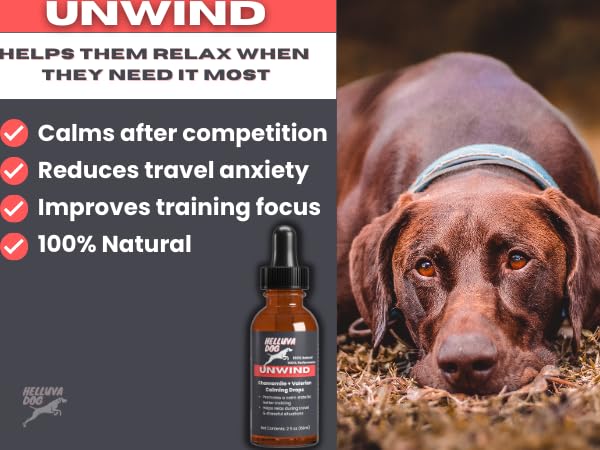 Unwind by Helluva Dog - Natural Anxiety Calming Drops for Active Performance Dogs — MCT Oil, Chamomile & Valerian Drops for Focused Training, Relaxation Before and After Activity, 2oz Bottle