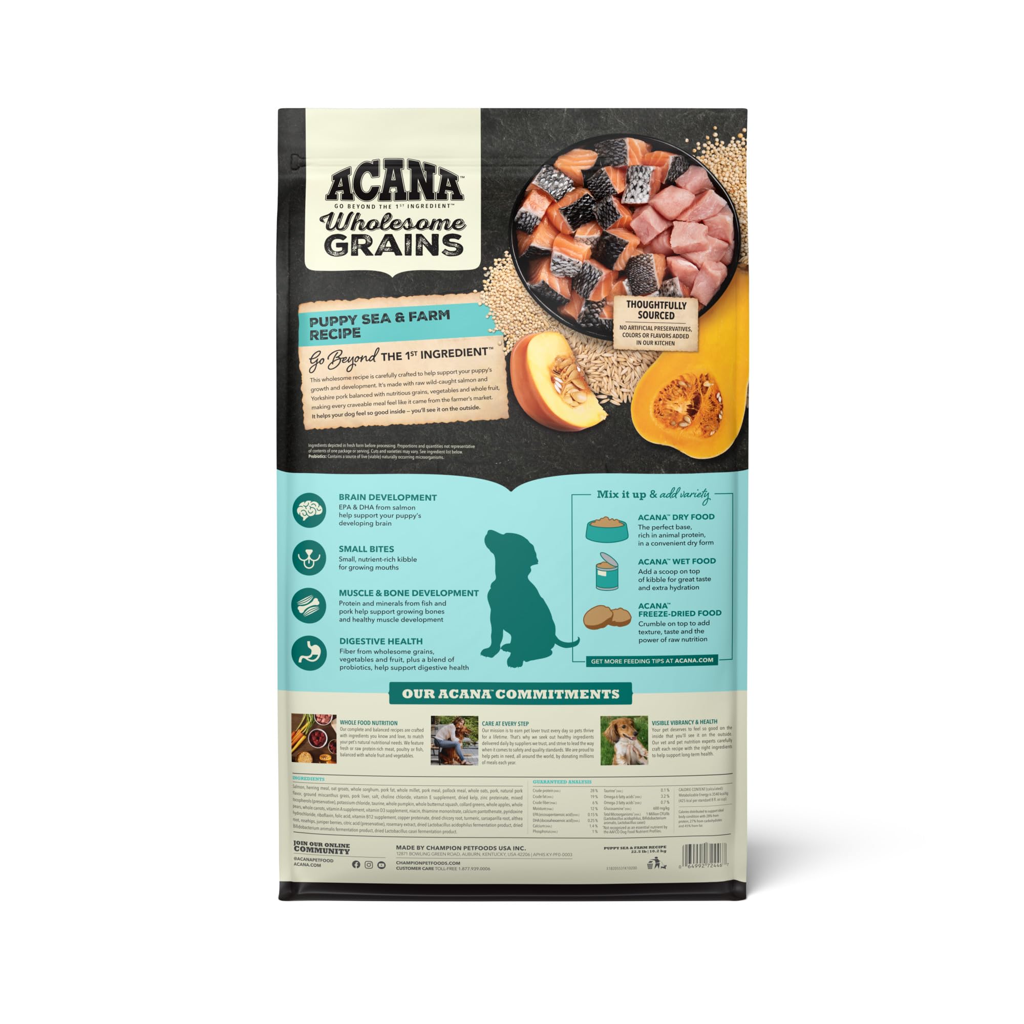 ACANA™ Wholesome Grains Dry Dog Food Puppy Sea & Farm Recipe, 22.5lb