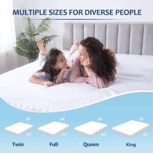 3 Inch Egg Crate Memory Foam Mattress Topper Queen Size, Viscose Mattress Pad Cover for Pressure Relief Back Pain, Machine Washable, CertiPUR-US Certified, 60”x80”