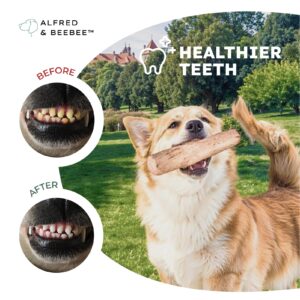 Alfred & Beebee Eco-Friendly Coffee Wood Dog Chew Toy Pack - for Regular Chewers - Dog Dental Chew