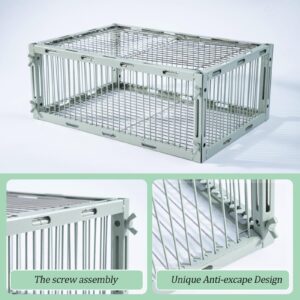 Bird Trap Cage with Escape-Proof,Bird Traps for Small Birds Live,Sparrow Trap,Portable,Easy Assembly and Unharmful.Made of Iron with Anti-Rust Paint A4