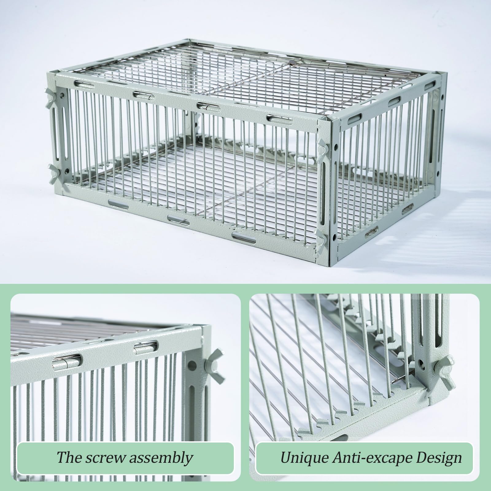 Bird Trap Cage with Escape-Proof,Bird Traps for Small Birds Live,Sparrow Trap,Portable,Easy Assembly and Unharmful.Made of Iron with Anti-Rust Paint A4