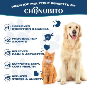 Hemp Oil for Dogs Cats -1 Pack - Relieves Anxiety and Promotes Appetite-Hiр & Jоint Suppоrt Skin Hеalth-Pet Hemp Oil Drops A95