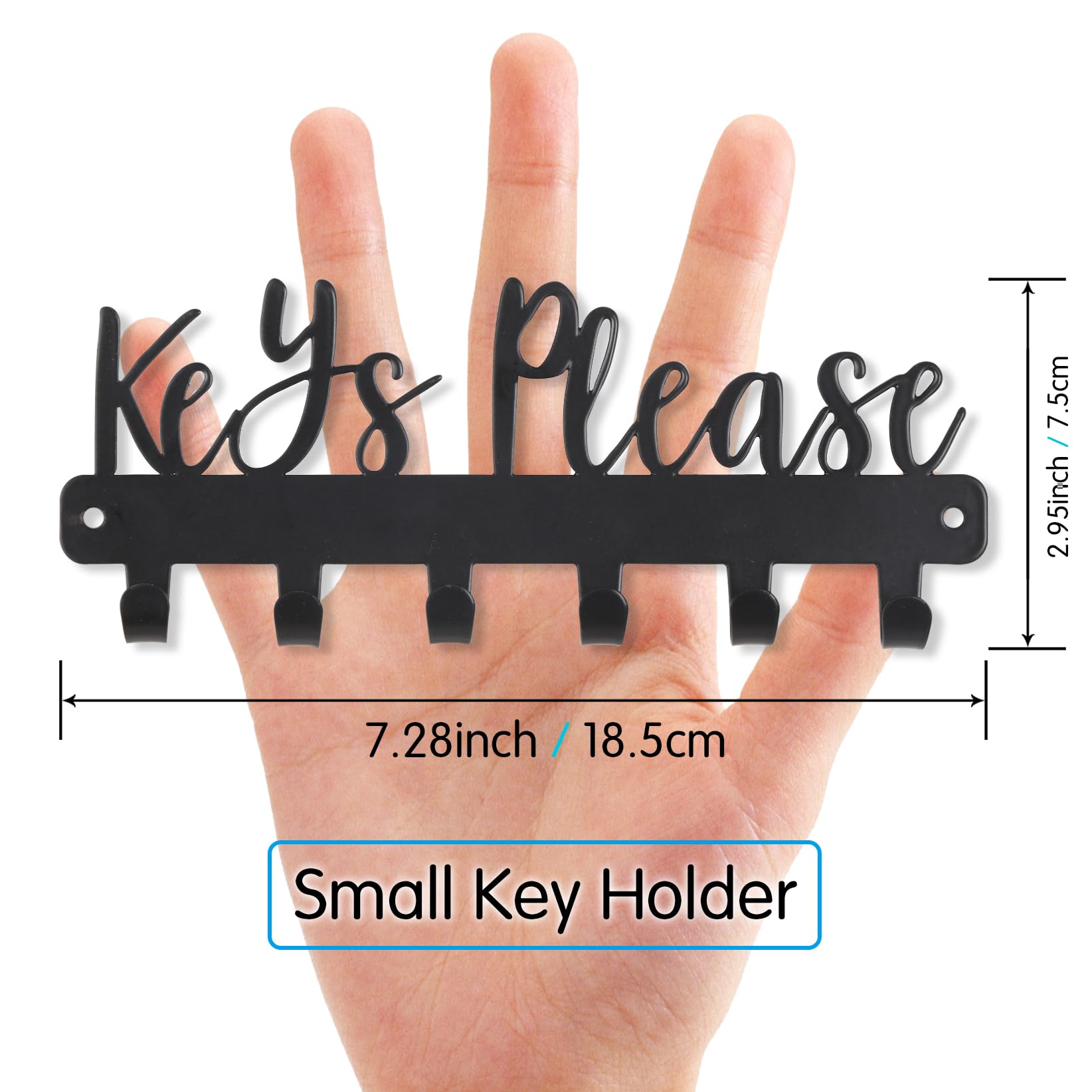 BITALYE Mini Keys Please Holder on Wall,Small Key Holder Wall Mounted,Black Metal Decorative Key Holder for Wall, Hallway,Entryway,Front Door,Office(7.28 x 2.95 inch)