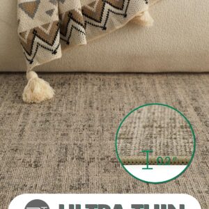 LUMI 4x6 Modern Abstract Area Rug, Ultra-Thin Washable Non-Slip Carpet, Low Profile, Flat Weave Indoor Floor Rugs for Living Room, Bedroom, Dining Room, Home Decor