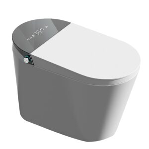 quinitiles smart toilet,one piece bidet toilet for bathrooms,modern elongated toilet with warm water,heated bidet seat, auto smart toilet with led display