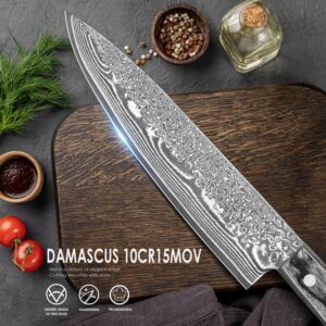 Damascus Chef Knife 8 Inch, Professional Japanese VG10 Damascus Steel Super Sharp Cooking Knife, G10 Ergonomic Color Wooden Handle with Luxury Gift Box