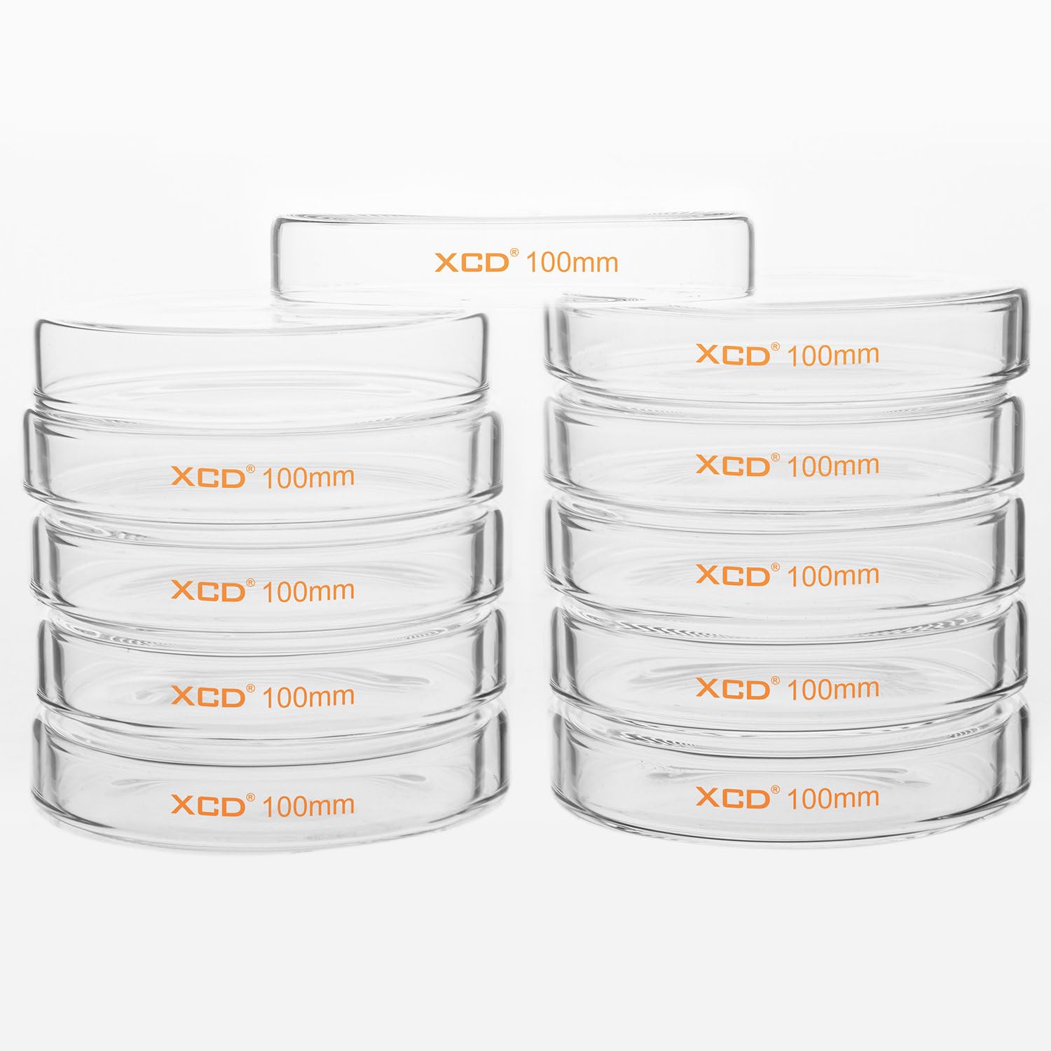 XCD Glass Petri Dishes, 10 Pack Borosilicate Glass Cell Culture Dishes Autoclavable Lab Dishes with Clear Lid for Laboratory Use, 100x20 mm