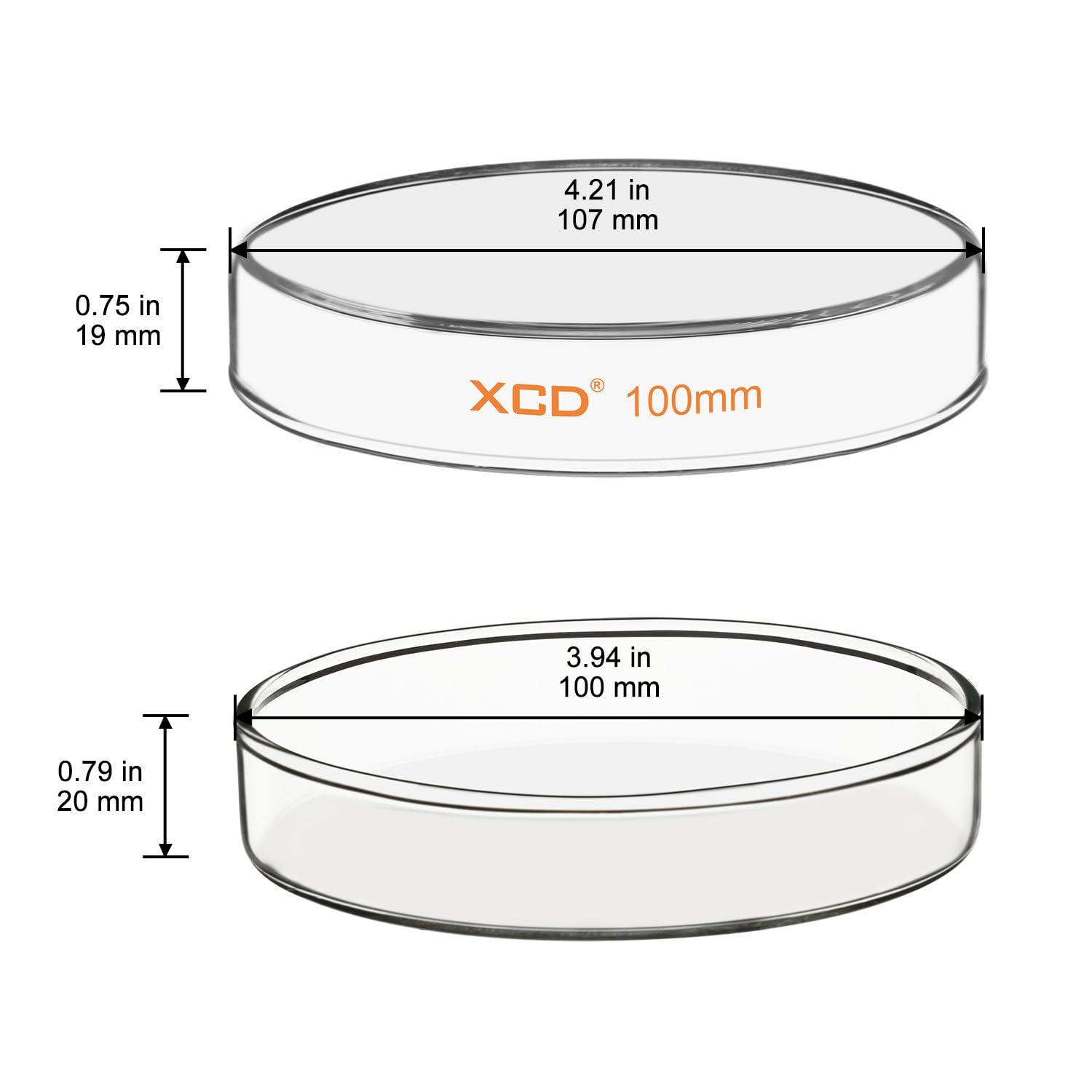 XCD Glass Petri Dishes, 10 Pack Borosilicate Glass Cell Culture Dishes Autoclavable Lab Dishes with Clear Lid for Laboratory Use, 100x20 mm