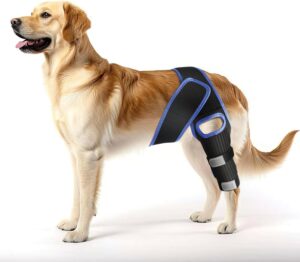 masbrill dog knee brace, adjustable dog brace protector pads for back leg,acl hind leg brace for dog cruciate ligament care knee brace for dogs rear leg, joint pain and muscle sore