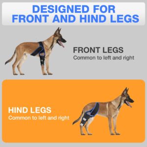 MASBRILL Dog Knee Brace, Adjustable Dog Brace Protector Pads for Back Leg,ACL Hind Leg Brace for Dog Cruciate Ligament Care Knee Brace for Dogs Rear Leg, Joint Pain and Muscle Sore