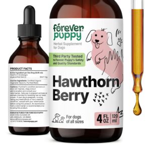 hawthorn berry tincture for dogs - herbal heart supplements - antioxidant w/hawthorn berry for dogs - liquid dog food supplements for happy pets - no preservatives & artificial colors - 4 oz