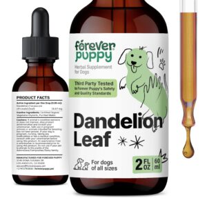 dandelion leaf tincture for dogs - kidney supplements for dogs of all breeds & sizes - dandelion drops for dogs - herbal dog kidney supplement - vegan kidney and bladder support vitamins - 2 oz