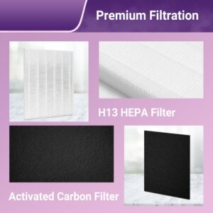 Aneedmore C545 Replacement Filter for Winix S Air Purifier. 2 True HEPA(H13) Filter + 8 Activated Carbon Filters，Part No. 1712-0096-00 and 2522-0058-00