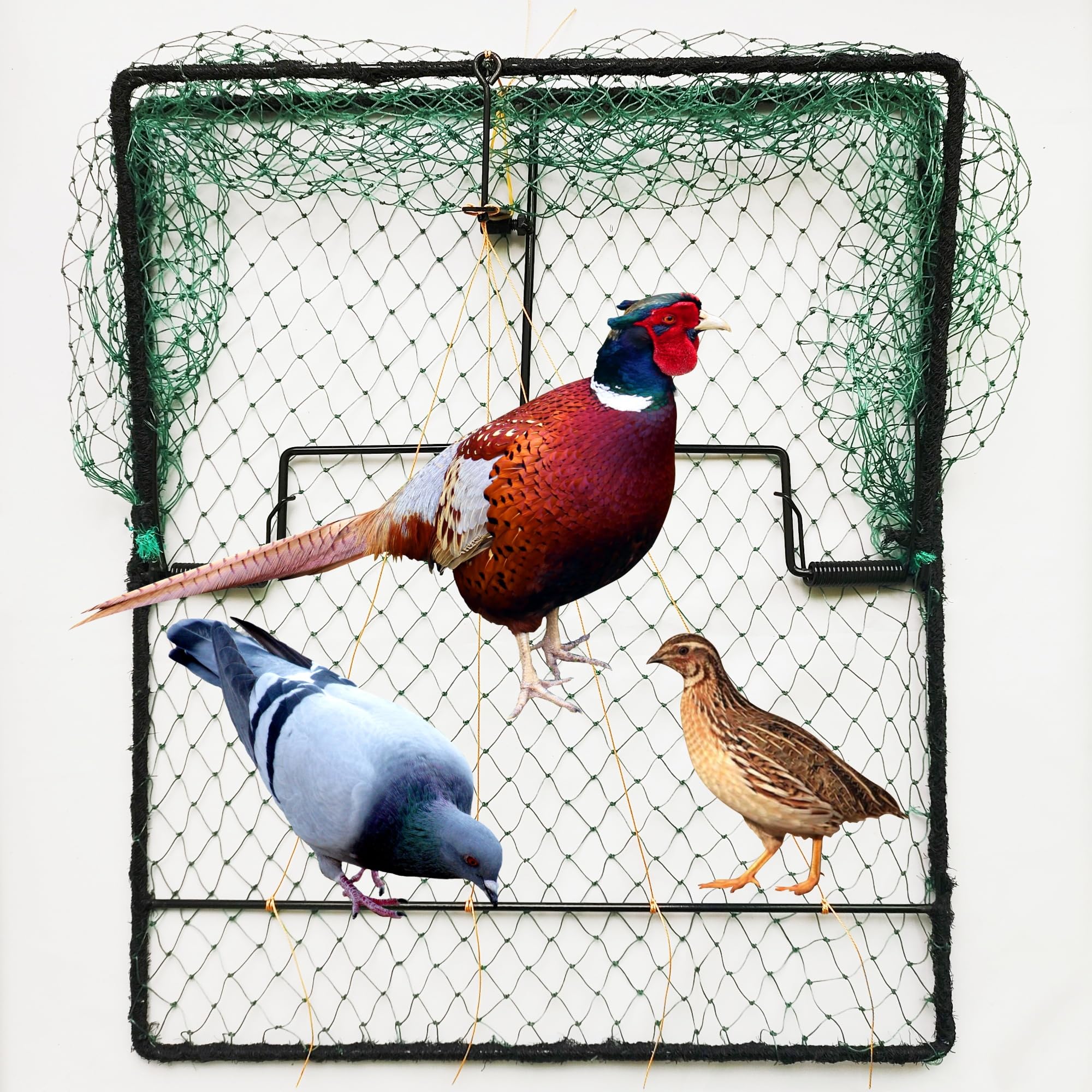 DSQSTMR Pigeon Bird Trap 2 Pack Trapping Hunting Quail Cage Sparrow Spring Starling Catching Net Traps for Trapping