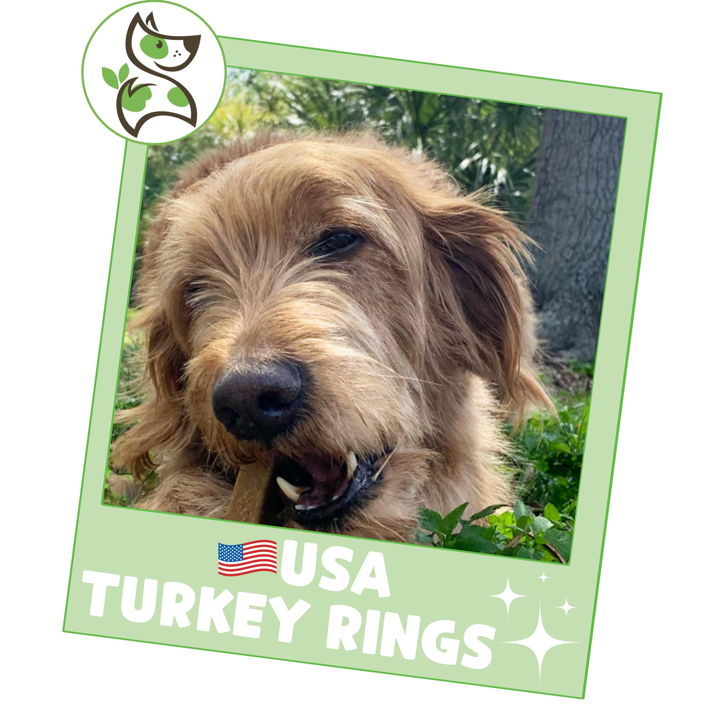 Nature Gnaws USA Turkey Tendon Rings for Dogs (8oz) - Delicious Grain Free Reward Snack for Small, Medium & Large Breeds - Premium Natural Dog Chew Treats