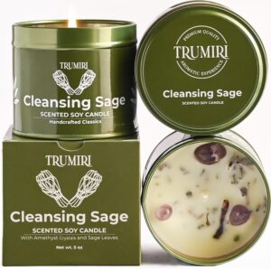 sage candle for cleansing house negative energy smudge kit - 5oz soy wax natural clean organic non toxic - aromatherapy spiritual meditation gifts - long lasting highly scented candel with crystals