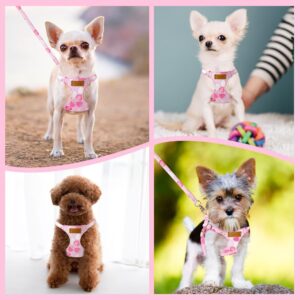 Lukovee Puppy Harness and Leash Set, No Pull Lightweight Soft Suede Adjustable Pet Harness Vest with Snap Buckle for Puppy Small and Medium Size Dog (Pink Strawberry, XXS)