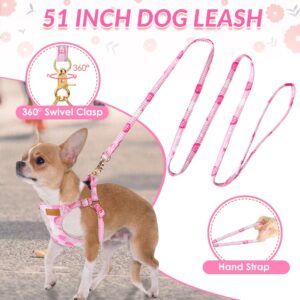 Lukovee Puppy Harness and Leash Set, No Pull Lightweight Soft Suede Adjustable Pet Harness Vest with Snap Buckle for Puppy Small and Medium Size Dog (Pink Strawberry, XXS)