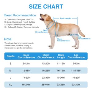 Dog Back Brace Arthritis, Adjustable ivdd Pet Support and Rehab Harness for Spinal Injury for Dachshund, Soft Hip Leg Support Helps Pain Relief, Corgi Spinal Surgical Recovery and Rehabilitation (M)