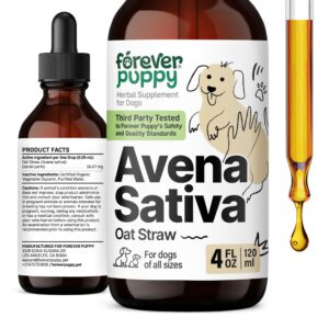 avena sativa drops for dogs - calming support for dogs w/oat straw herb - herbal alternative to calming chews for dogs - liquid dog vitamins for brain relaxation, calm mood & composure - 4 oz