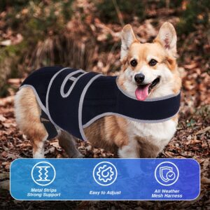 Dog Back Brace Arthritis, Adjustable ivdd Pet Support and Rehab Harness for Spinal Injury for Dachshund, Soft Hip Leg Support Helps Pain Relief, Corgi Spinal Surgical Recovery and Rehabilitation (M)