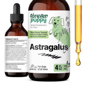 astragalus root for dogs - immune support for dogs w/astragalus root - pet supplements for immunity w/astragalus liquid extract - herbal dog immune vitamins and supplements - joyful pet care - 4 oz