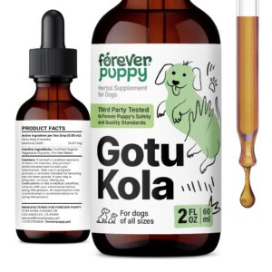 gotu kola for dogs - supplement for dog brain health - calming dog vitamins w/centella asiatica - brain support dog essentials w/gotu kola - herbal dog vitamins and supplements liquid - 2 oz