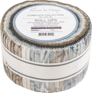 lunn studios artisan batiks patterns in nature roll up 40 2.5-inch strips robert kaufman ru-1276-40