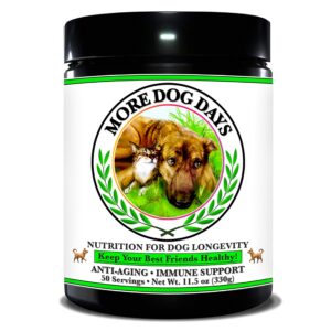 more dog days - anti-aging & immune support | organic, human-grade ingredients | medicinal plants & mushroom extracts | omega 3's, antioxidants, probiotics, vitamins & minerals | plant-based & vegan