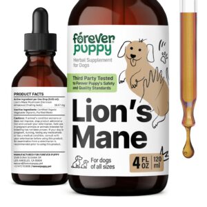 lion's mane mushroom supplement for dogs - liquid drops for dog brain health w/lions mane - vegan dog supplements - vitamins for essential brain support & focus - no preservatives - 4 oz