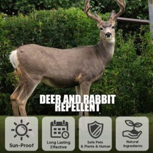 FANDISES Deer Repellent, Rabbit Repellent Outdoor, Deer and Rabbit Repellent for Plants, Powerful Rabbit Repellent for Garden, Deer Deterrent for Garden, Deer Away, Rabbit Deterrent for Yard - 10P