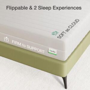 Novilla Full Mattress, 12 Inch Foam Mattress in a Box, Double Side Sleep Full Size Mattress with Breathable Fabric Cover for Back & Side Sleeper, Flippable Mattress with Tight Top