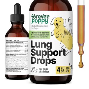 lung support drops for dogs - vegan dog respiratory health supplements - herbal respiratory support for dogs w/mullein leaf and echinacea herb - liquid dog vitamins for pet's lung care - 4 oz