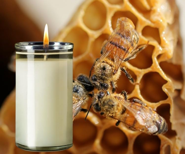 3 Days of Darkness - 3 Day 100% Beeswax Devotional Candle 72 Hours Made in USA