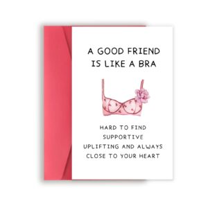 missonemi funny best friend birthday gifts cards for women, bestie definition card,happy birthday gift for bbf sister, great friendship card for her -“a good friend is like a bra”