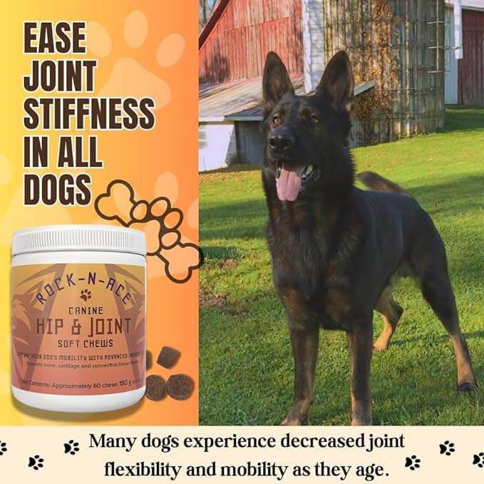 Rock-N-Ace Premium Canine Hip & Joint Support Supplement for Dogs | Glucosamine & Chondroitin MSM Large Dogs Chews | Advanced Mobility Support| Extend Joint Care for Dogs |Vet Recommended | 60 Count