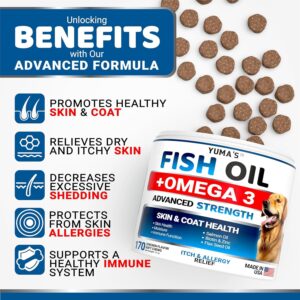 (2 Pack) Omega 3 Fish Oil for Dogs - 170 Chews - Skin and Coat Supplement - Omega 3 for Dogs - Dry & Itchy Skin Relief Treatment - Allergy Support Dog Anti Shedding Treats - Salmon - Chicken Flavor