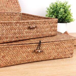 Moosky Flat Wicker Shelf Baskets with Lid, Handwoven Seagrass Basket Boxes for Storage Baskets Bins Home Decor Organizer (Coffee Large)