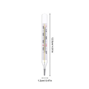 JOINPAYA 2Pc Glass Oral Temperature Adult: Free Clinic Armpit Fast Reading Fever Indicator