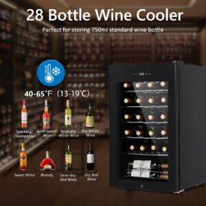 28 Bottle Compressor Wine Cooler Refrigerator, Wine Fridge Freestanding Wine Cellar for Red Wine, White, Champagne, Sparkling Wine with Digital Temperature Control, Soft LED Light, Glass Door