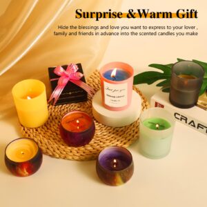 Candle Making Kit for Adults, Candle Making Supplies with Digital Soy Wax Melt Warmer, Premium DIY Starter Making Supply Perfect as Home Decorations with Glass Jar